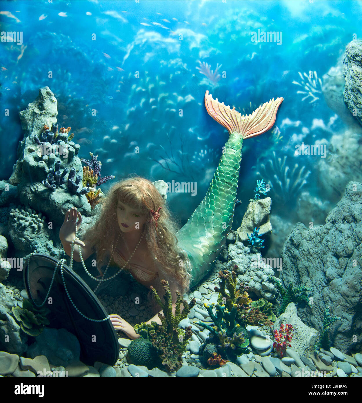 Amphibian decor hi-res stock photography and images - Alamy