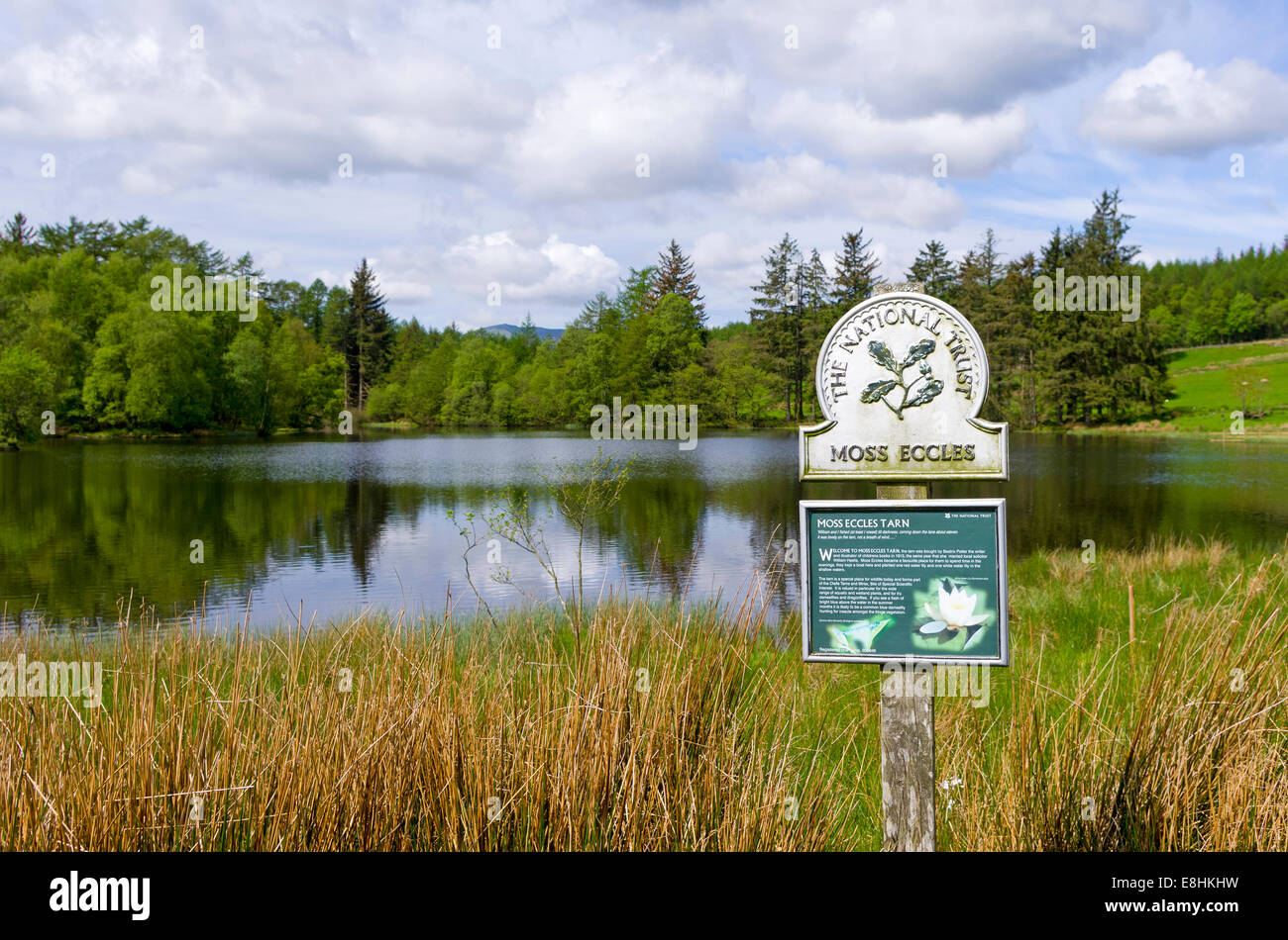 Moss Eccles Tarn, Claife Heights, Lake District National Park, Cumbria ...