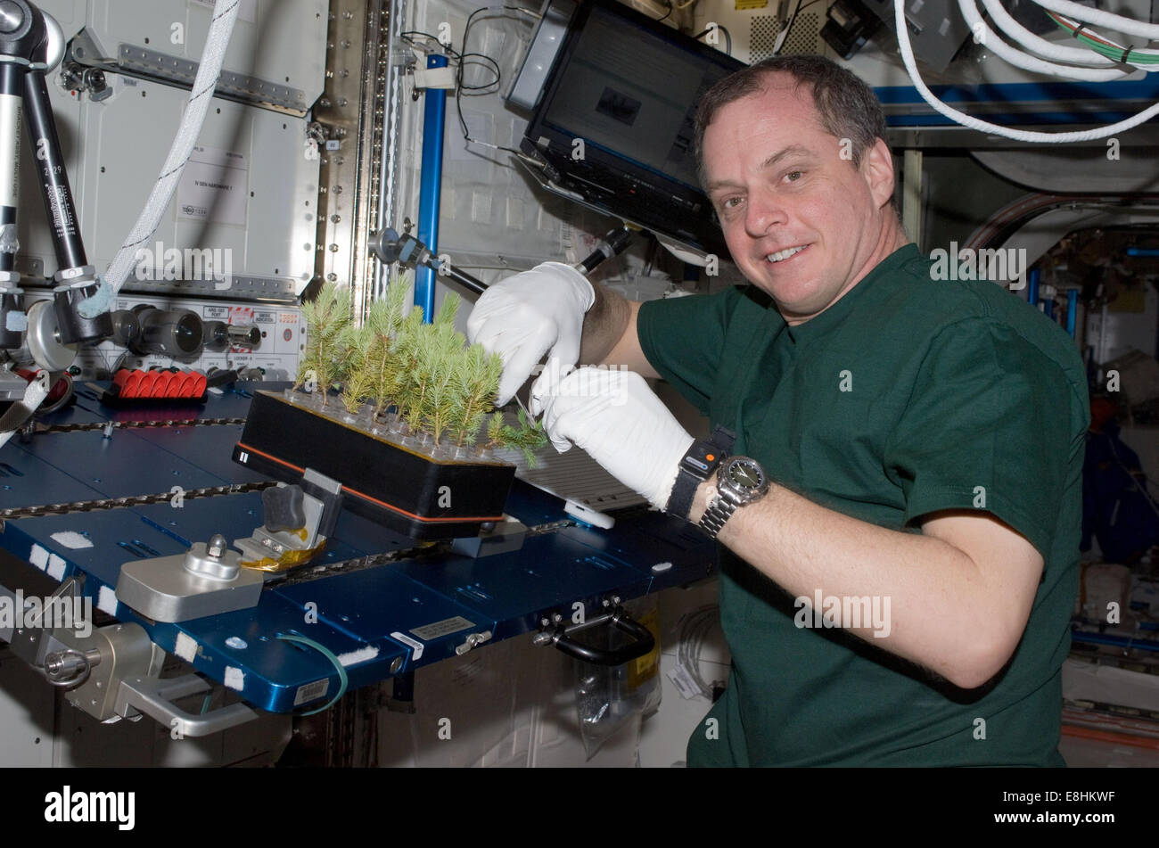 NASA’s advanced plant experiments study the growth of plants in space ...