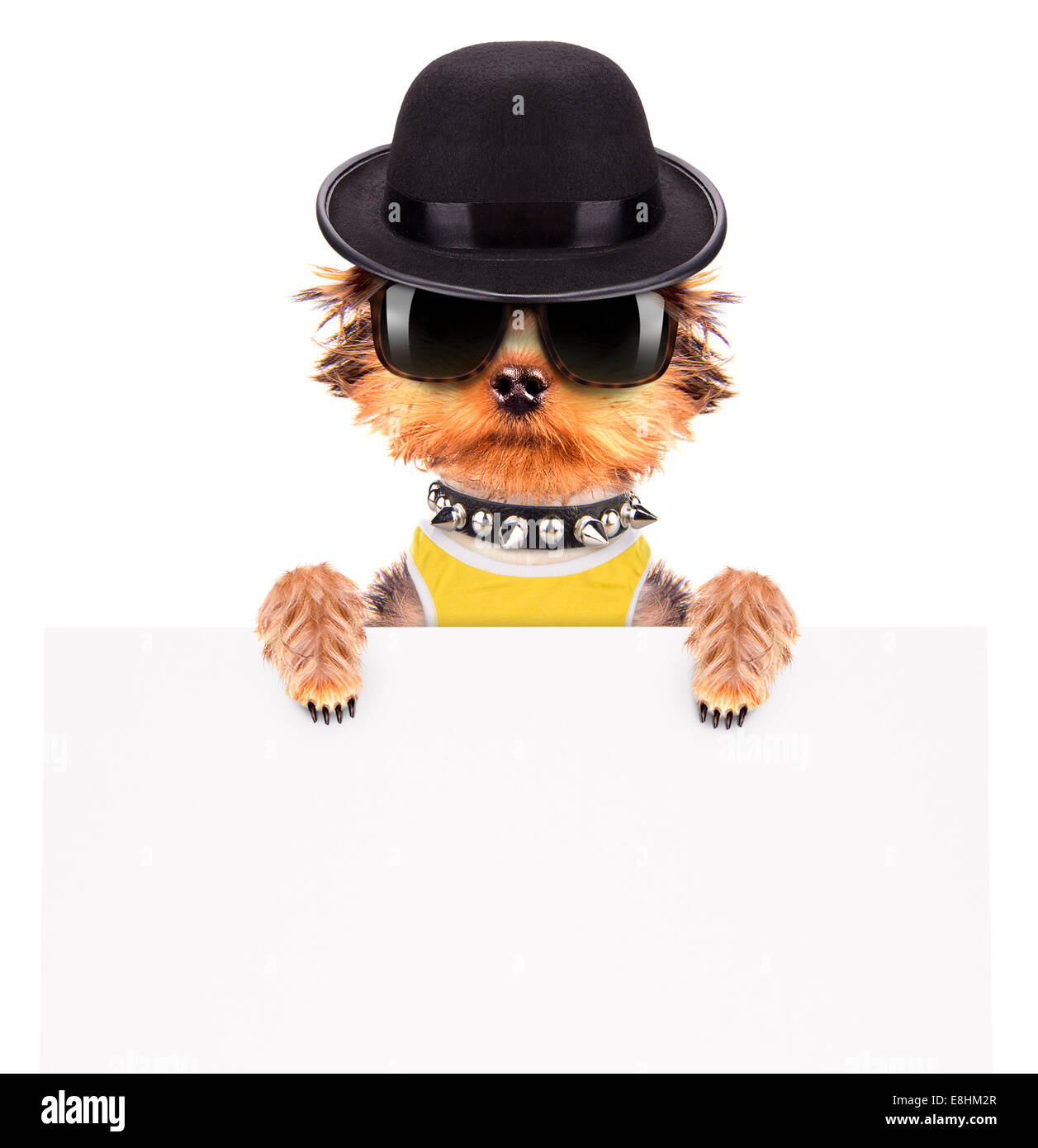 Mafia banner Cut Out Stock Images & Pictures - Alamy