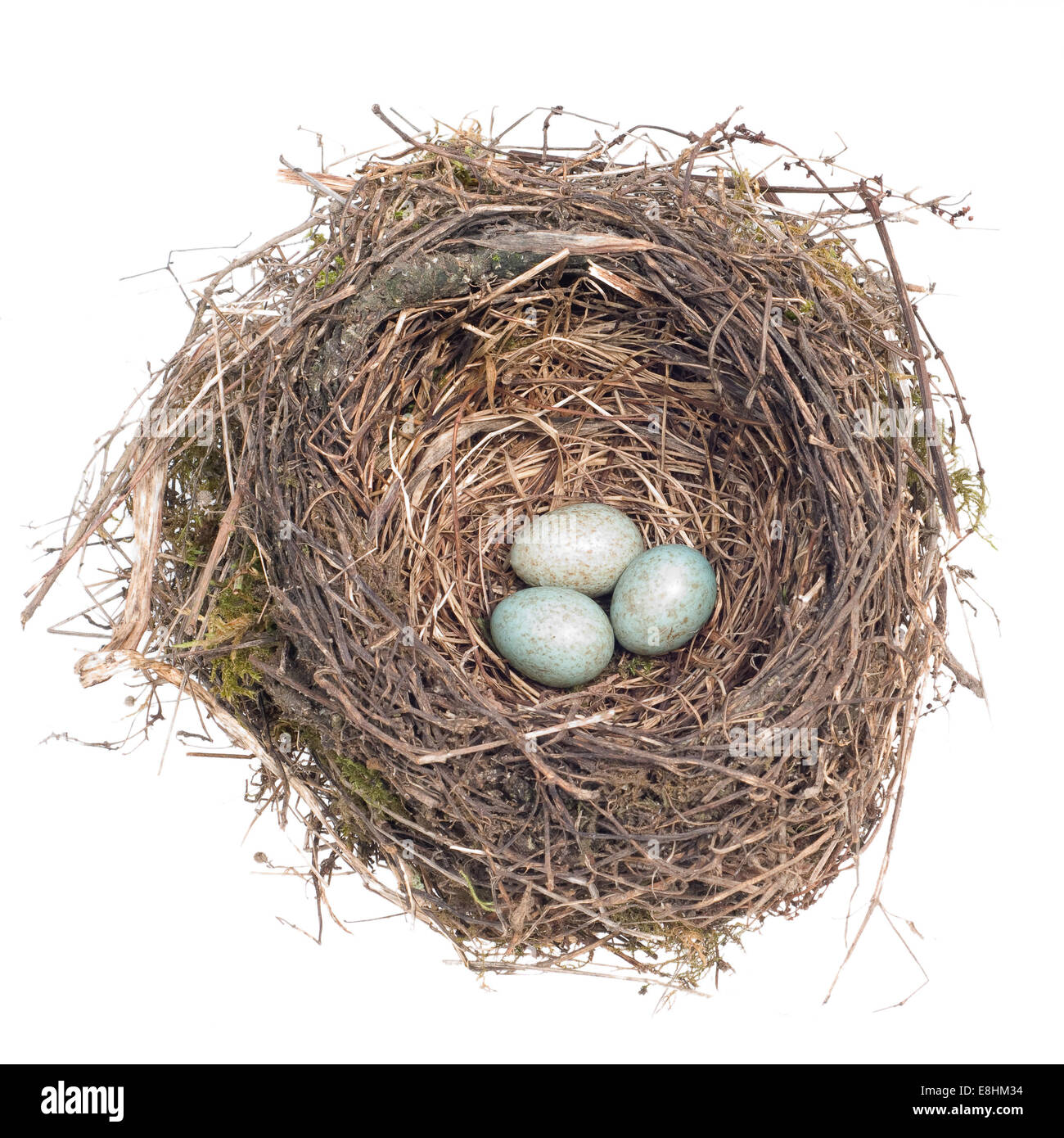 bird's nest with eggs on white background Stock Photo - Alamy