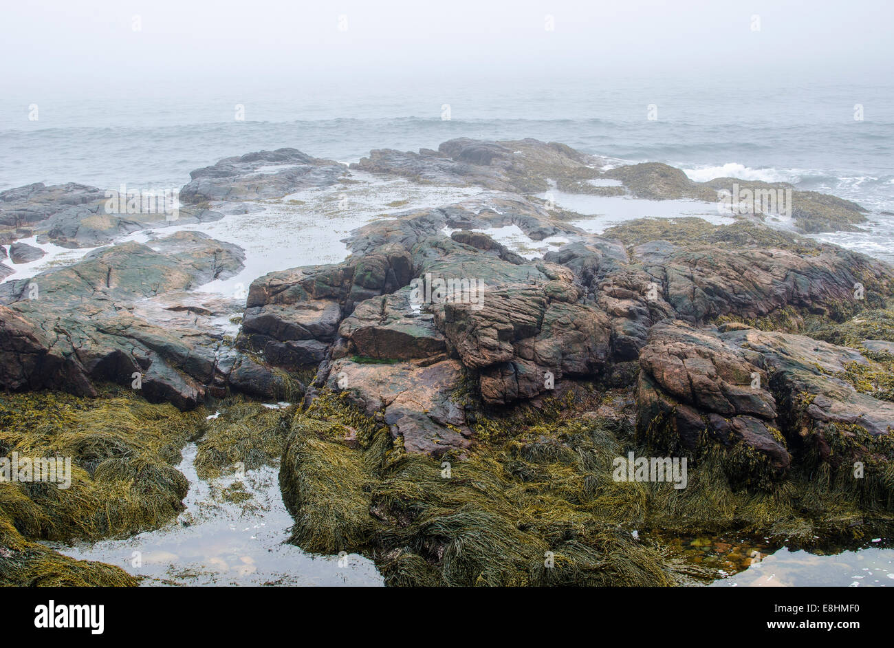 Atlantic Ocean at Acadia National Park, Maine Stock Photo - Alamy