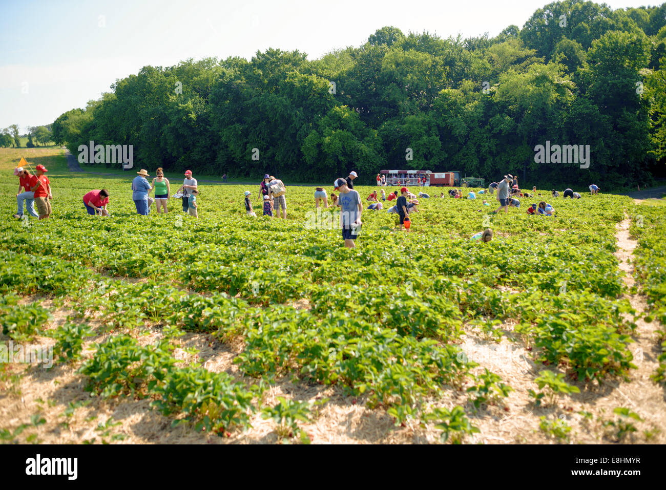 Butlers Orchard High Resolution Stock Photography and Images - Alamy