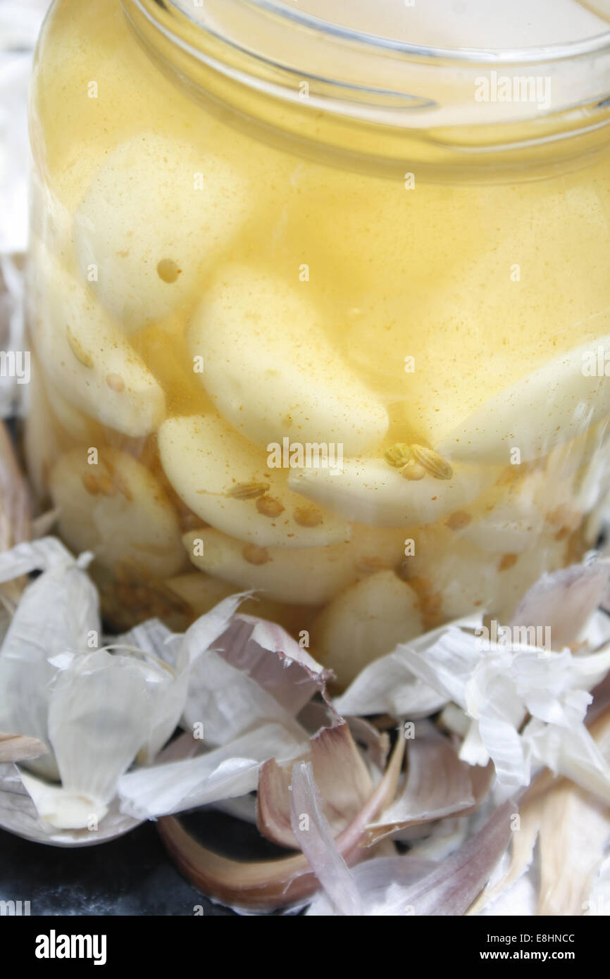 pickled garlic cloves Allium sativum Stock Photo - Alamy