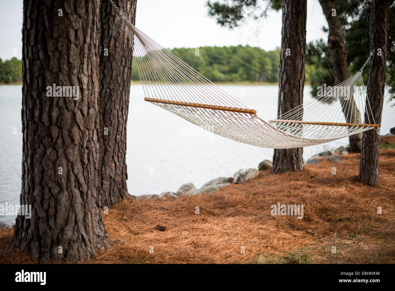 Hammock strung up between trees hi-res stock photography and images - Alamy