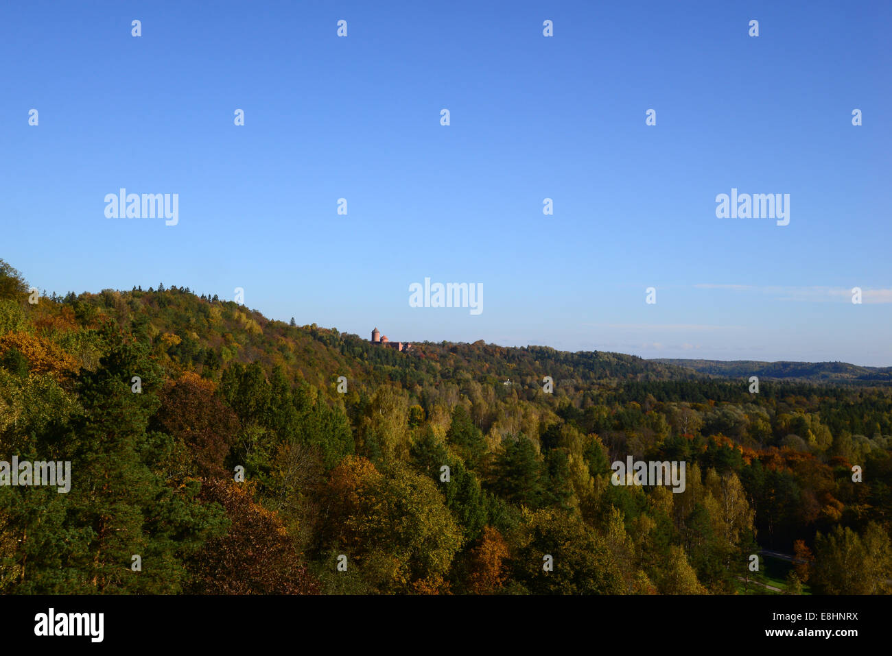 Big trees mansion hi-res stock photography and images - Alamy