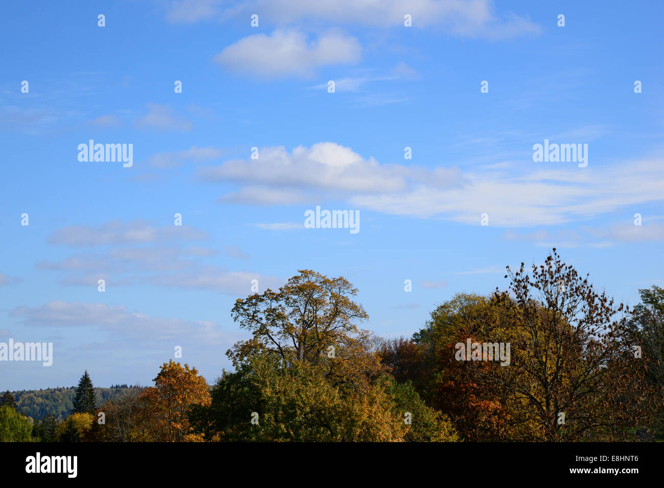 Sunlight over autumn trees hi-res stock photography and images - Alamy