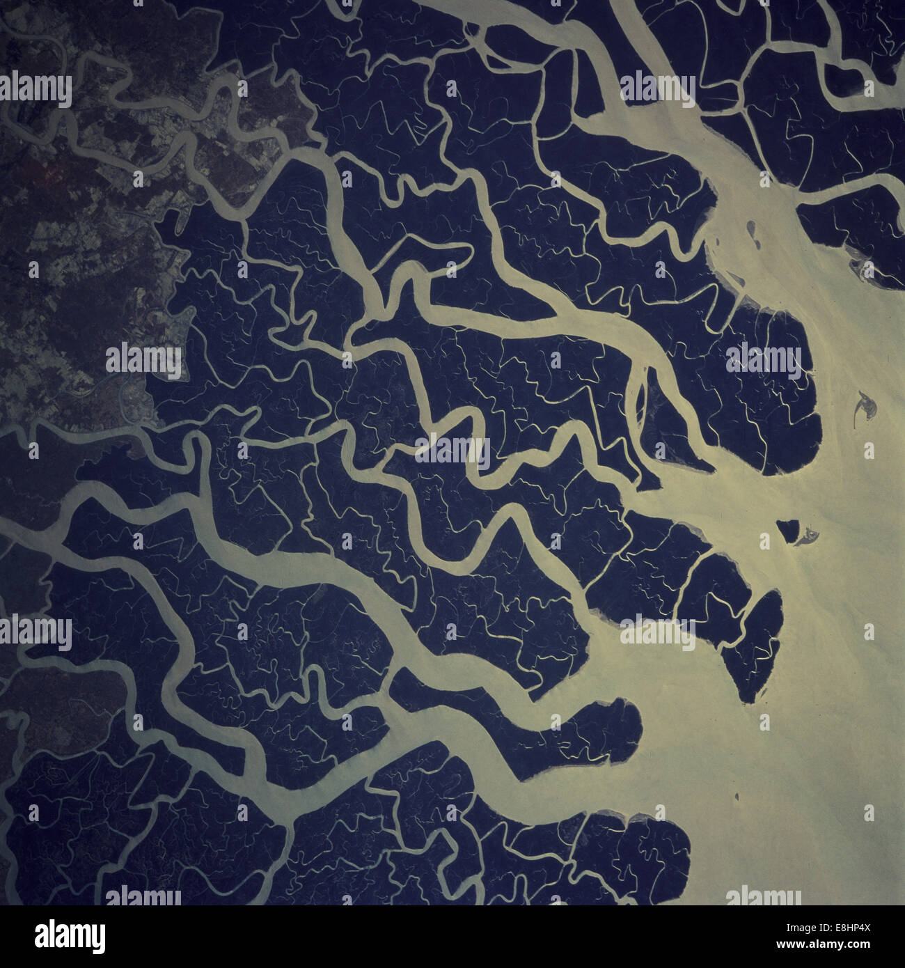 The Ganges River Delta, located in South Asia, is one of the largest ...