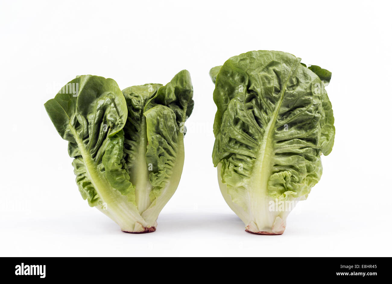 Little gem lettuce Stock Photo - Alamy