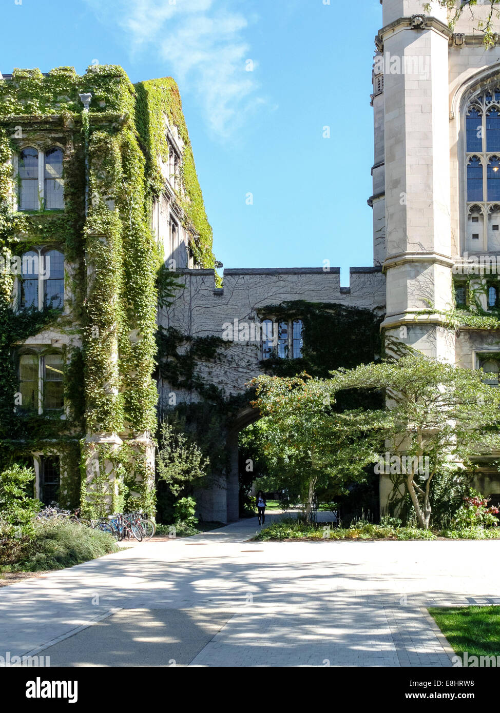 Impressions the University of Chicago's main campus in the Hyde Park ...