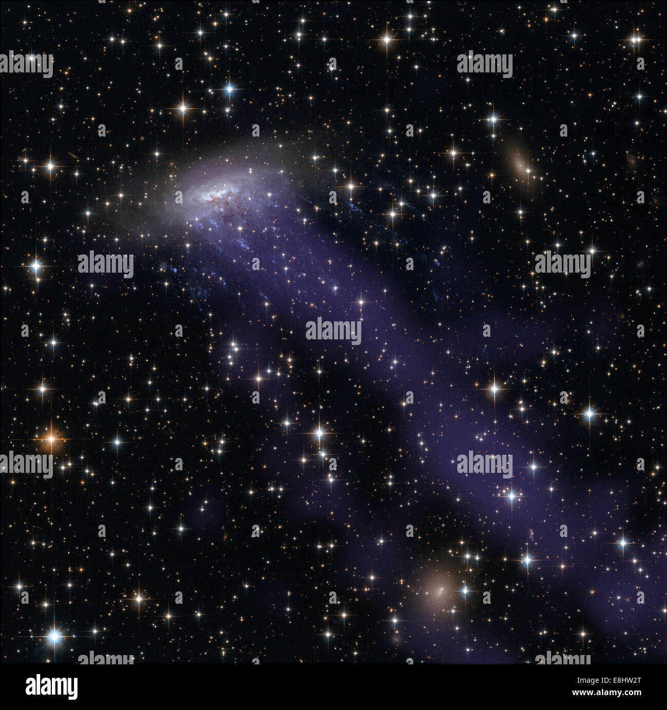 NASA's Chandra X-ray Observatory detects a runaway galaxy, providing ...