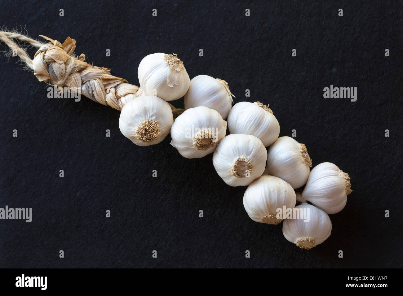 plaited bunched Spanish grown garlic against plain black background ...