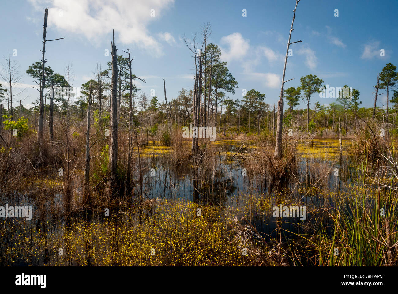 Bon secour refuge hi-res stock photography and images - Alamy