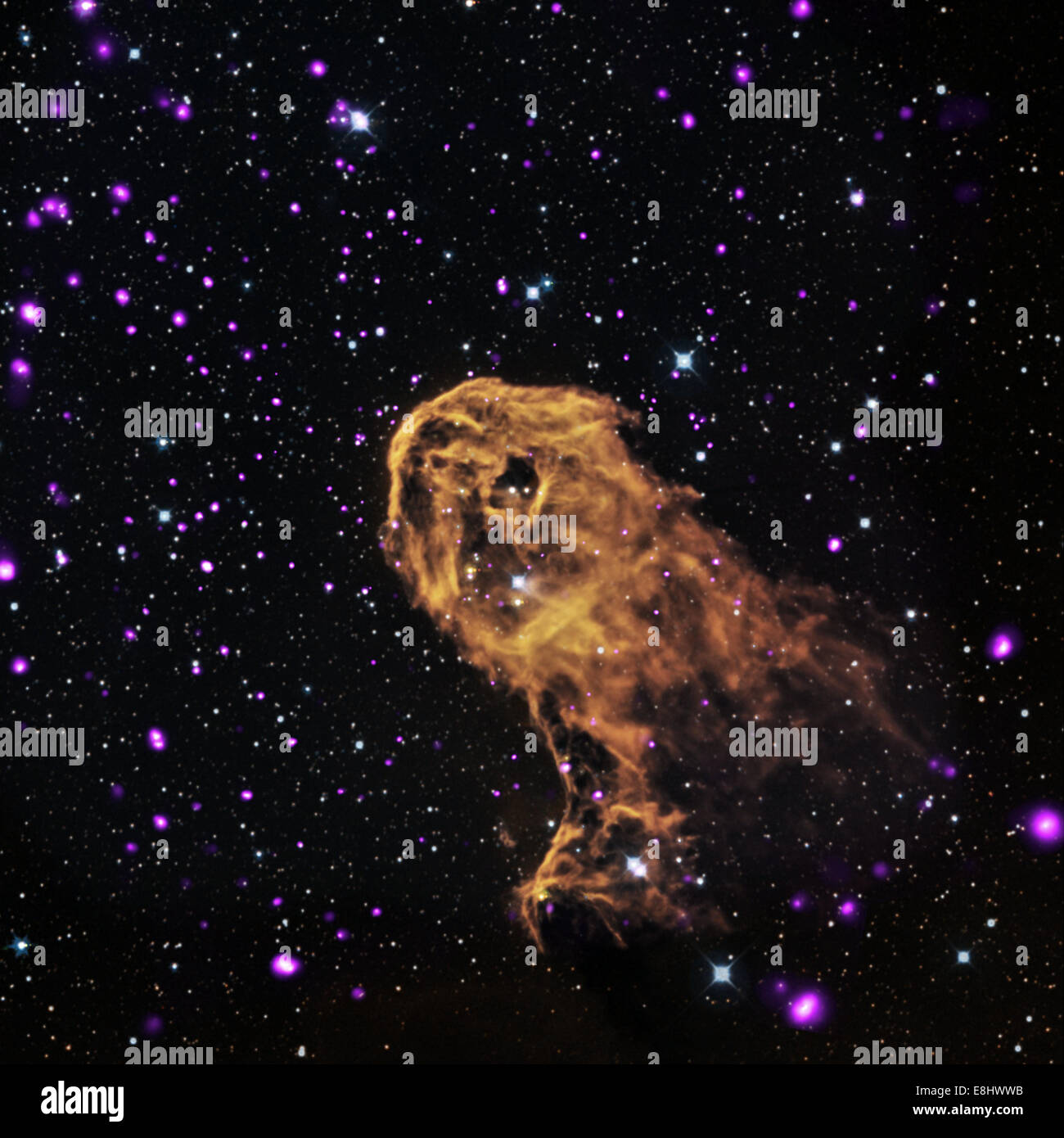 The Elephant Trunk Nebula, located in the constellation Cepheus, is a ...