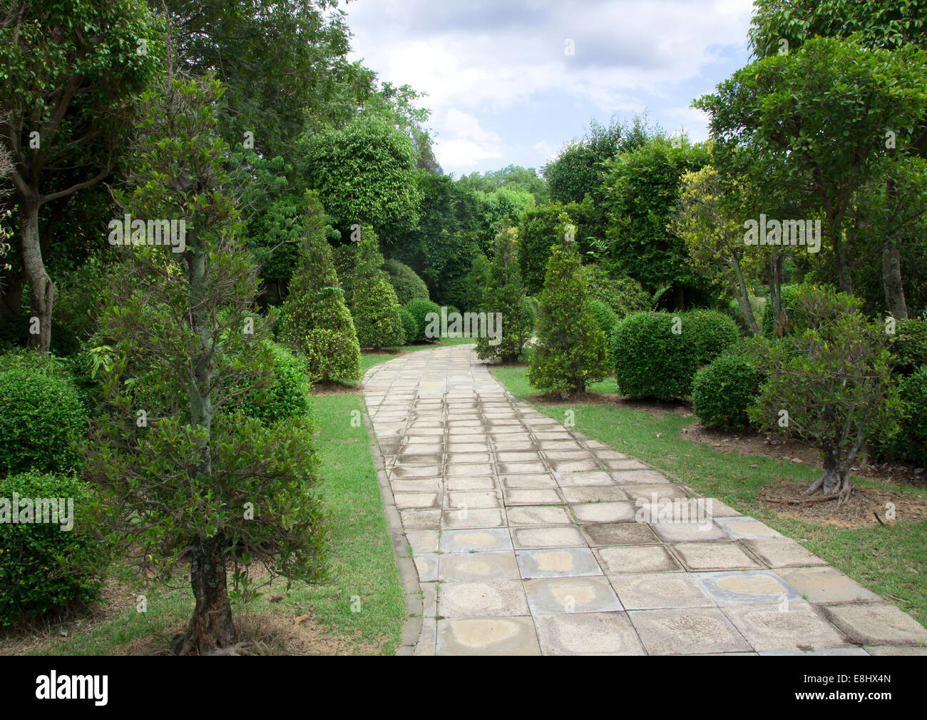 Walk in the park trees green nature Stock Photo - Alamy