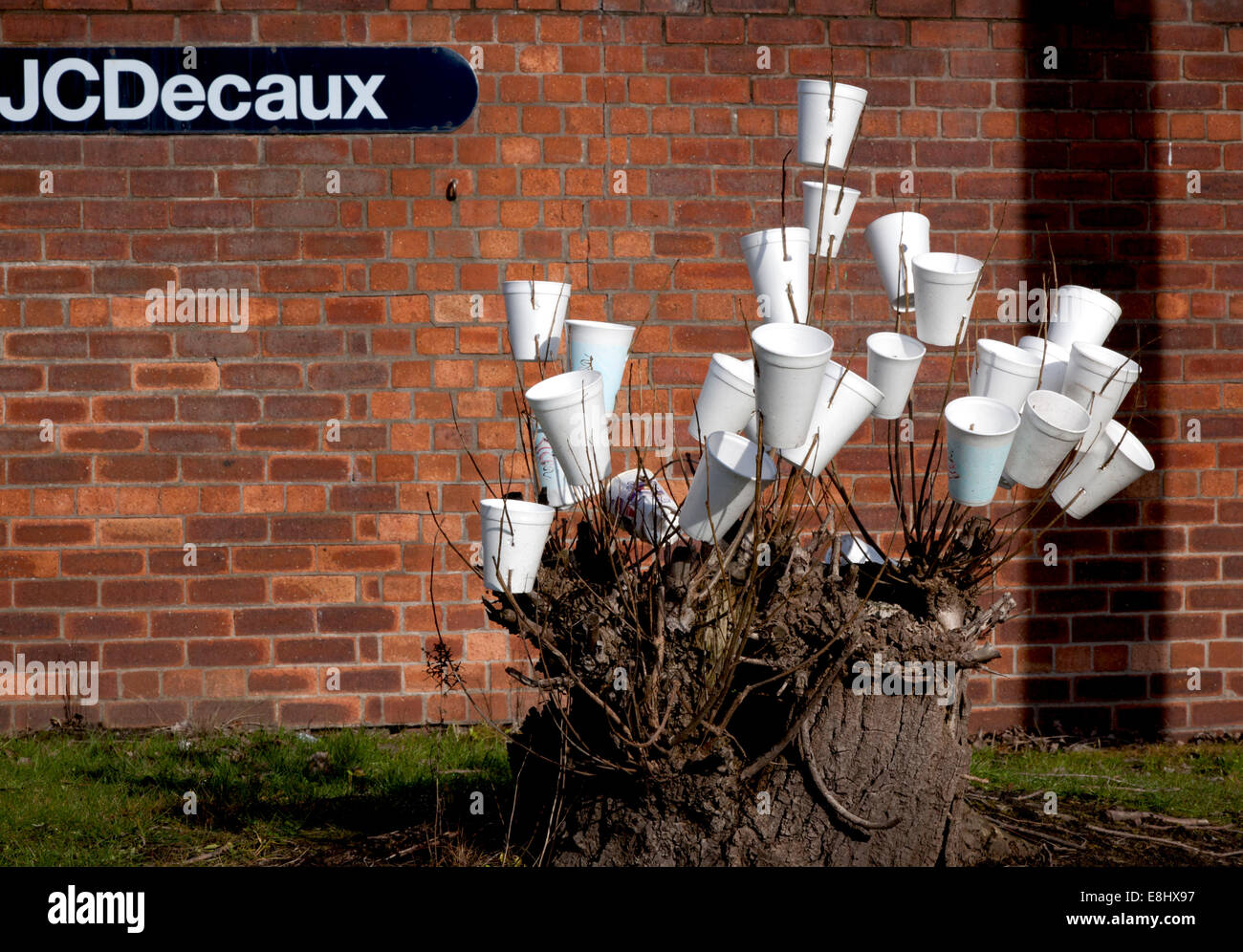 Litter Bush in Manchester, UK, adorned with Polystyrene white cups, an ...