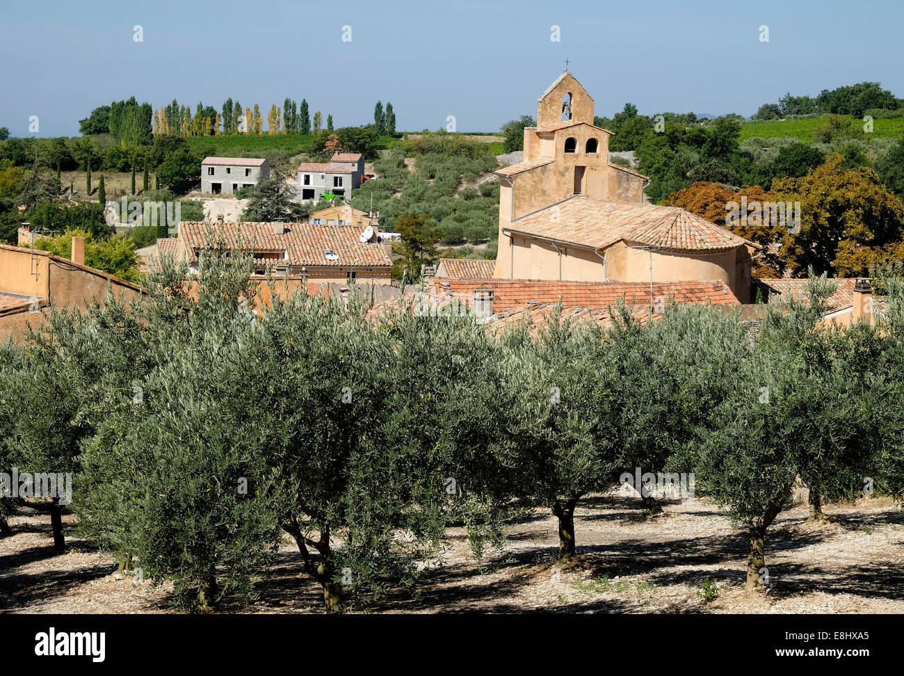 Small rural Provencal village of Flassan with church and olive trees ...