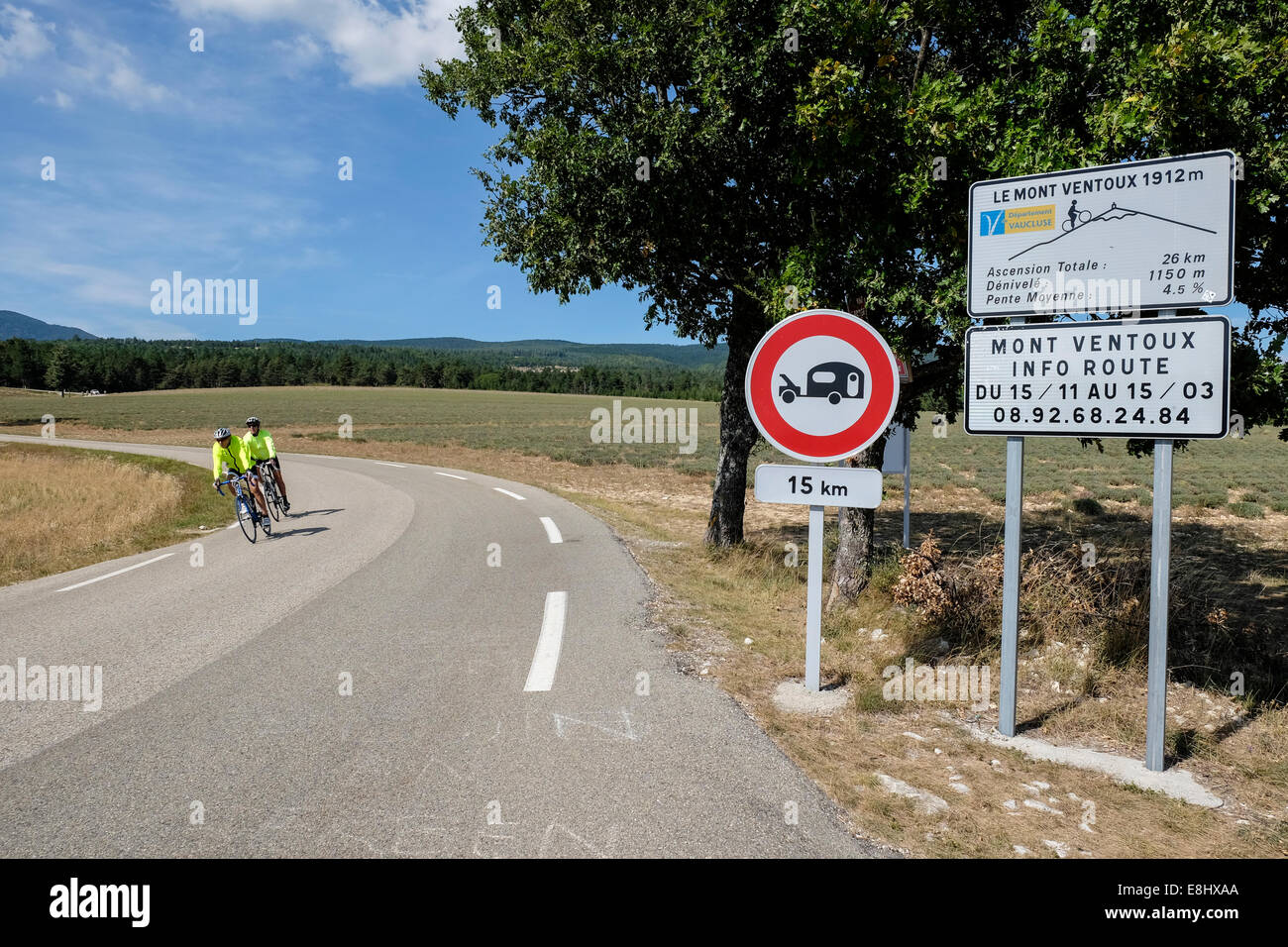 Mont Ventoux cycling route from Sault with cyclists, Provence, France ...