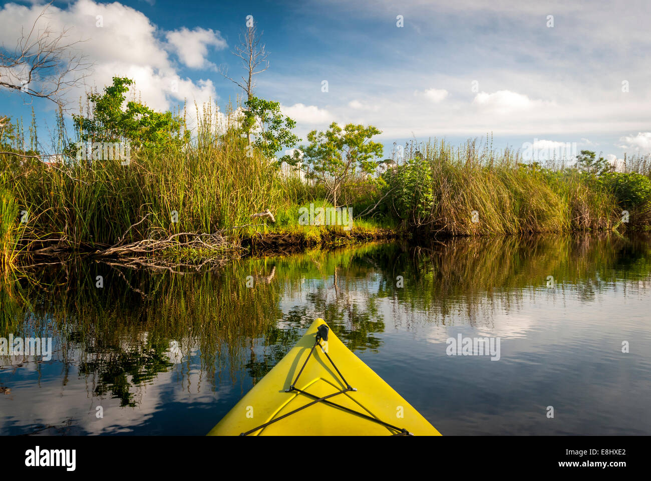 Kayaking in Middle Lake in Gulf State Park in Gulf Shores, Alabama ... Kayaking in Middle Lake in Gulf State Park in Gulf Shores, Alabama ...