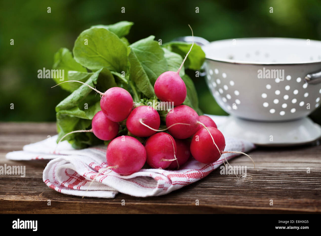 Raddish hi-res stock photography and images - Alamy