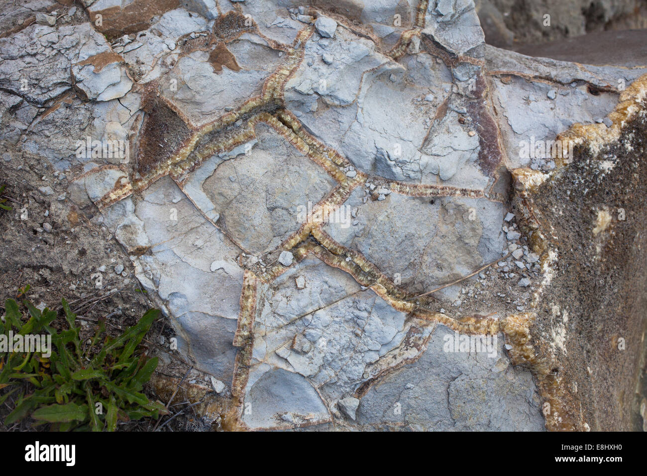 Concretion rock hi-res stock photography and images - Alamy