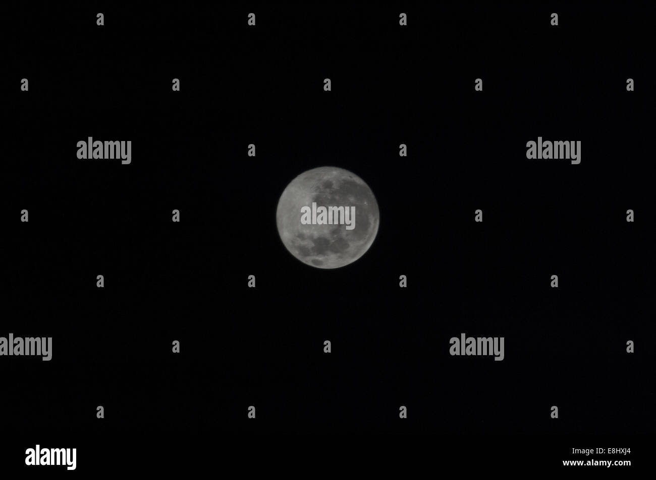 Full Moon in June Stock Photo - Alamy