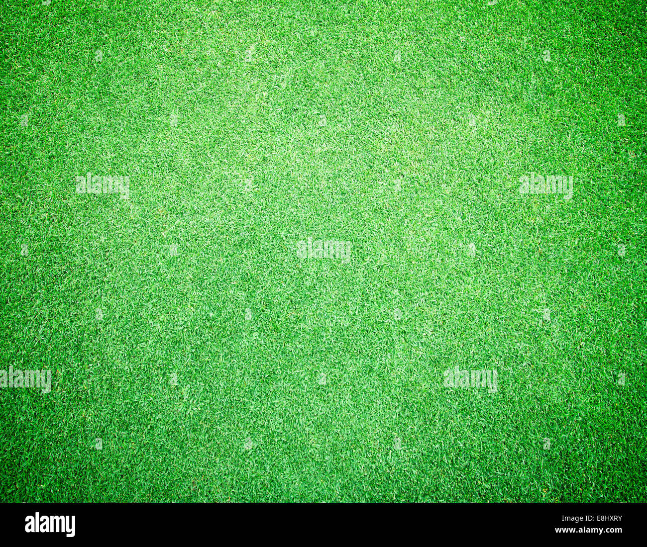 Green grass abstract background texture of natural grass Stock Photo ...