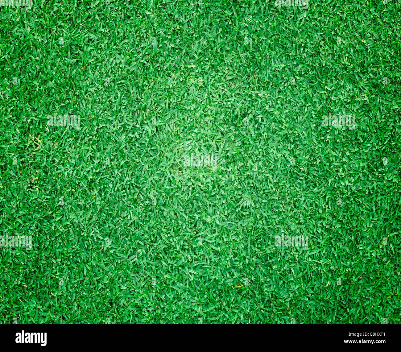 Green Grass Lawn natural patterns background texture Stock Photo - Alamy