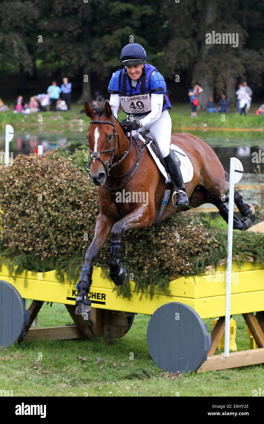 Kristina Cook on Star Witness at Blenheim Palace Horse Trials 2014 ...