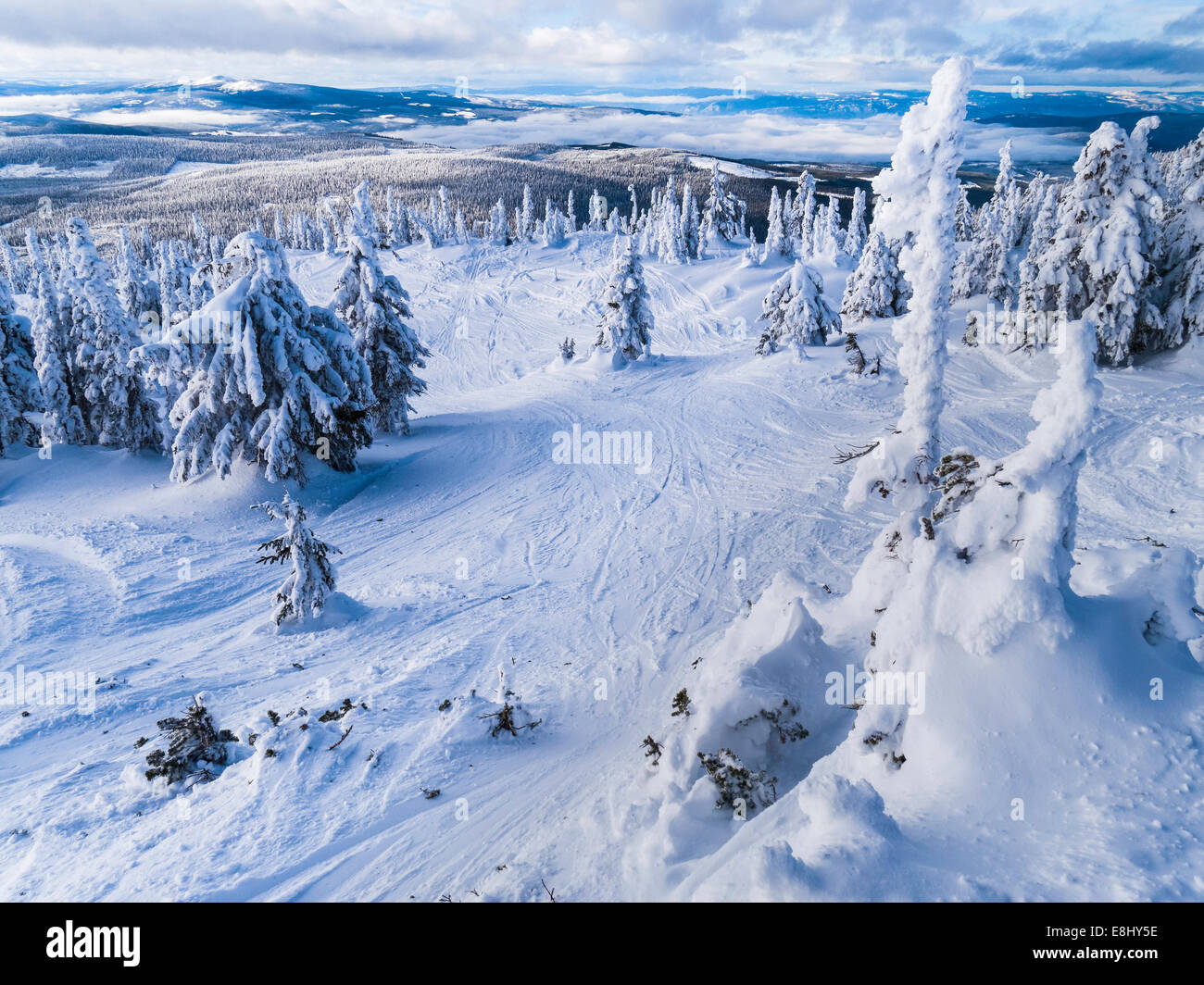 Snow ghost trees at the top of the Power Chair, Big White Ski Resort ...
