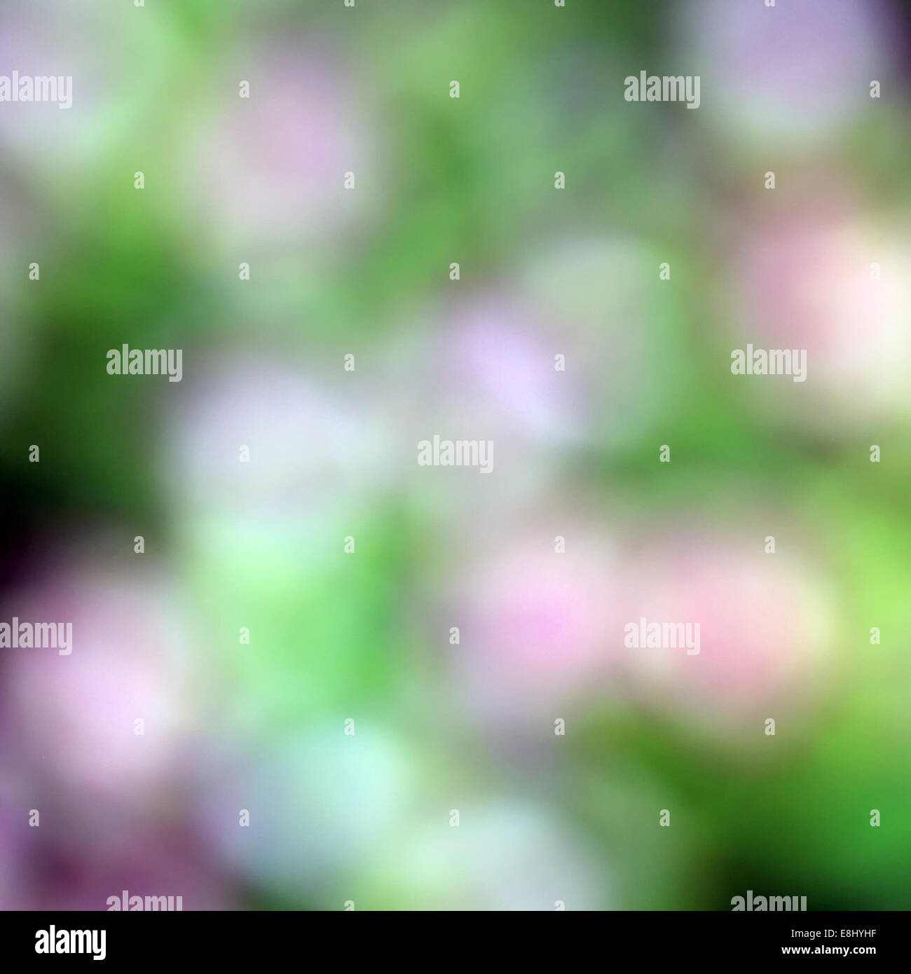 Color and bokeh hi-res stock photography and images - Alamy