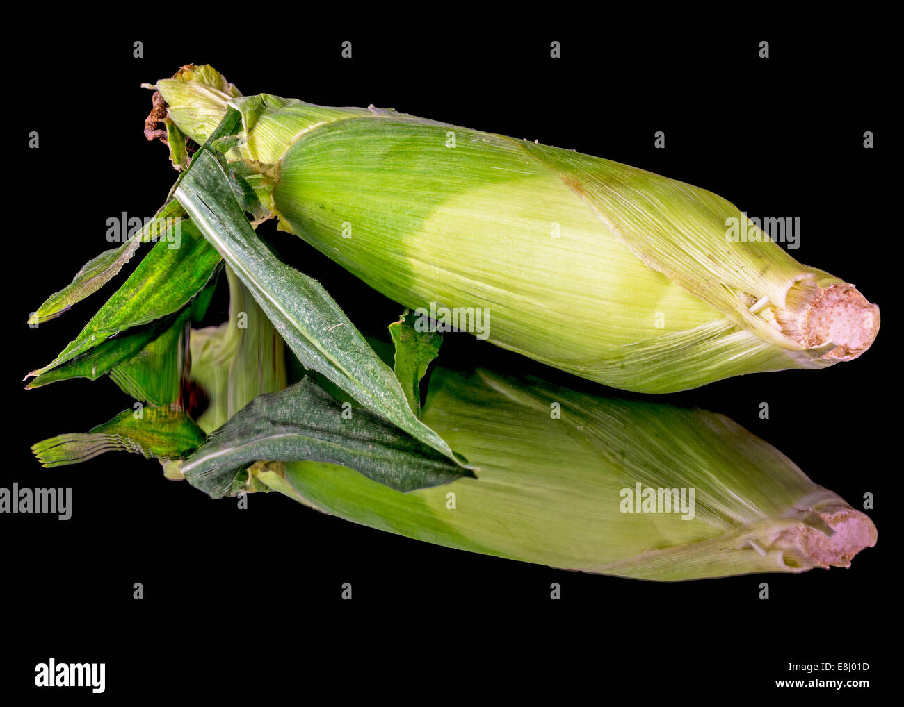 Single ear of corn still in hte husk Stock Photo - Alamy