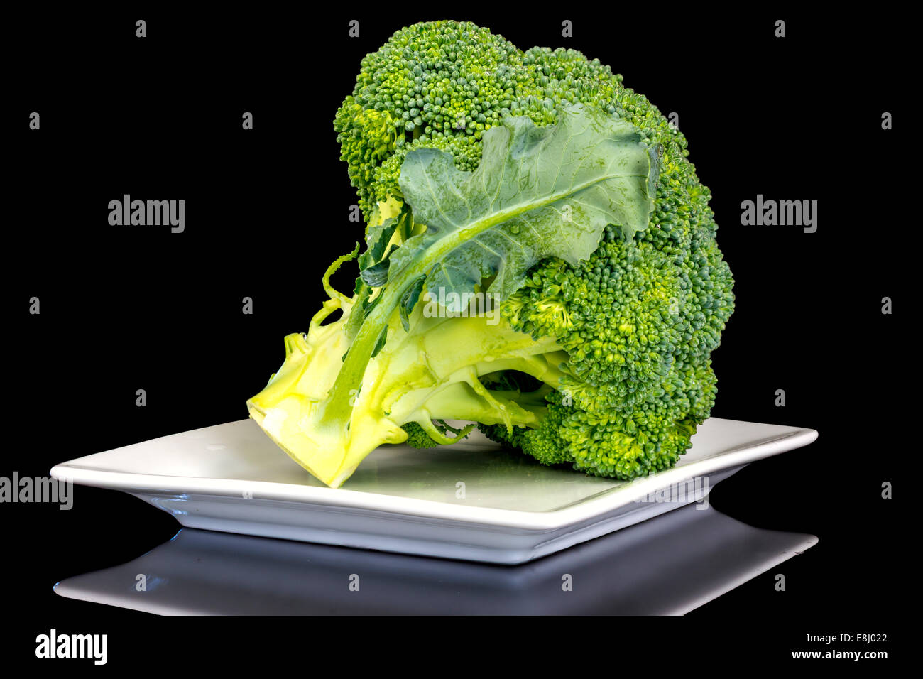 Single Broccoli head on a plate Stock Photo - Alamy