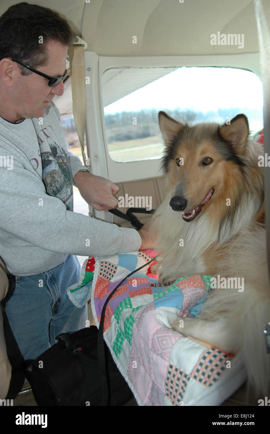 Launch pet project hi-res stock photography and images - Alamy