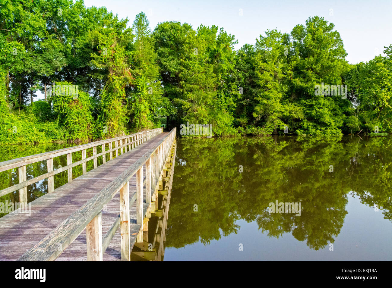 Bridge leading across a swamp in Decatur Alabama Stock Photo - Alamy