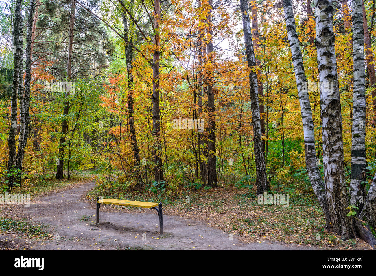 Beautiful gold autumn park landscape hi-res stock photography and ...