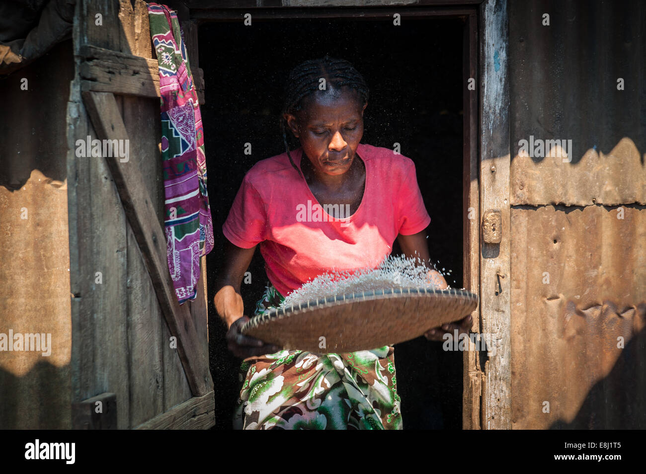 Rice roadside hi-res stock photography and images - Alamy