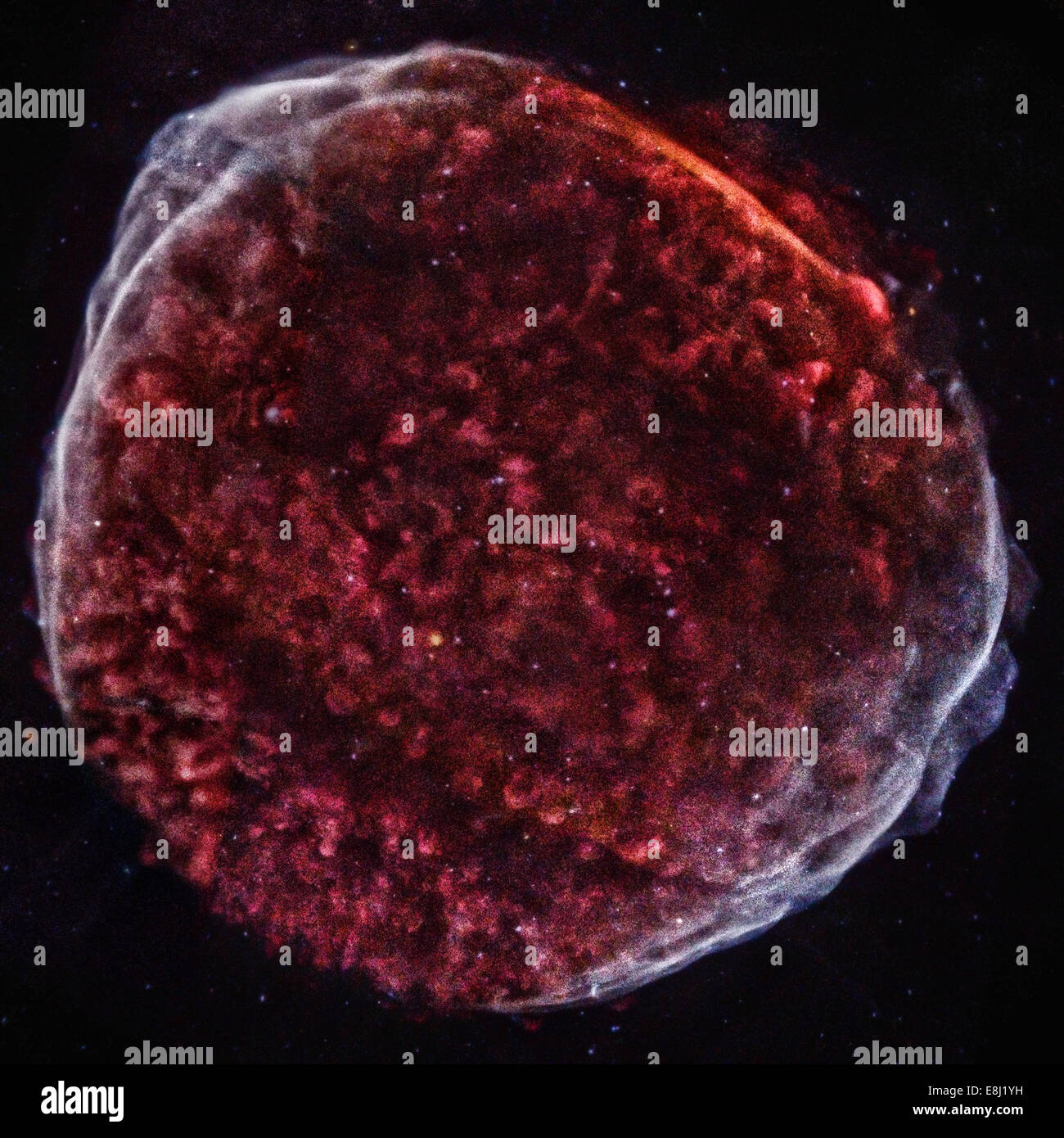Supernova remnant SN 1006, the remnant of one of the brightest ...