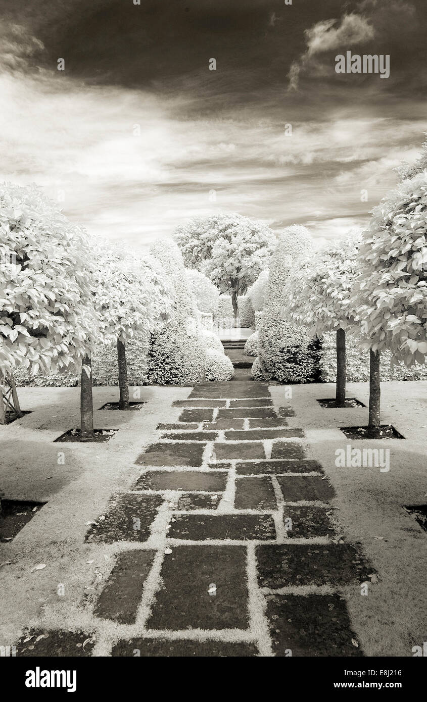 Infrared photograph of a classic English garden, pathway through lawn ...