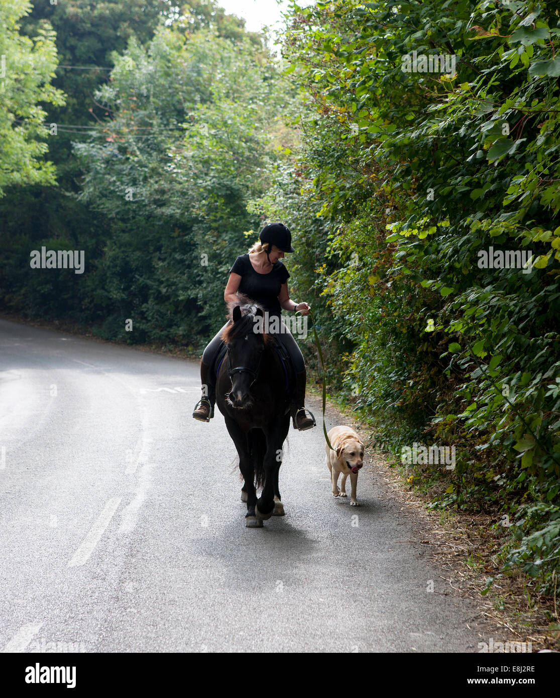 Horse riding south downs hi-res stock photography and images - Alamy