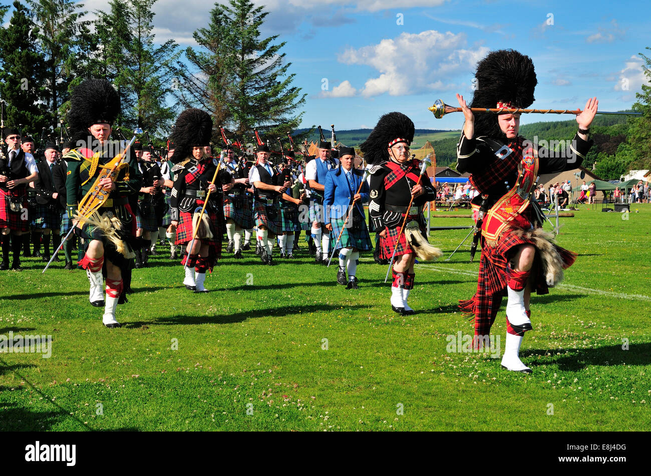 Several pipe majors leading a pipe band on the sports ground at the ...