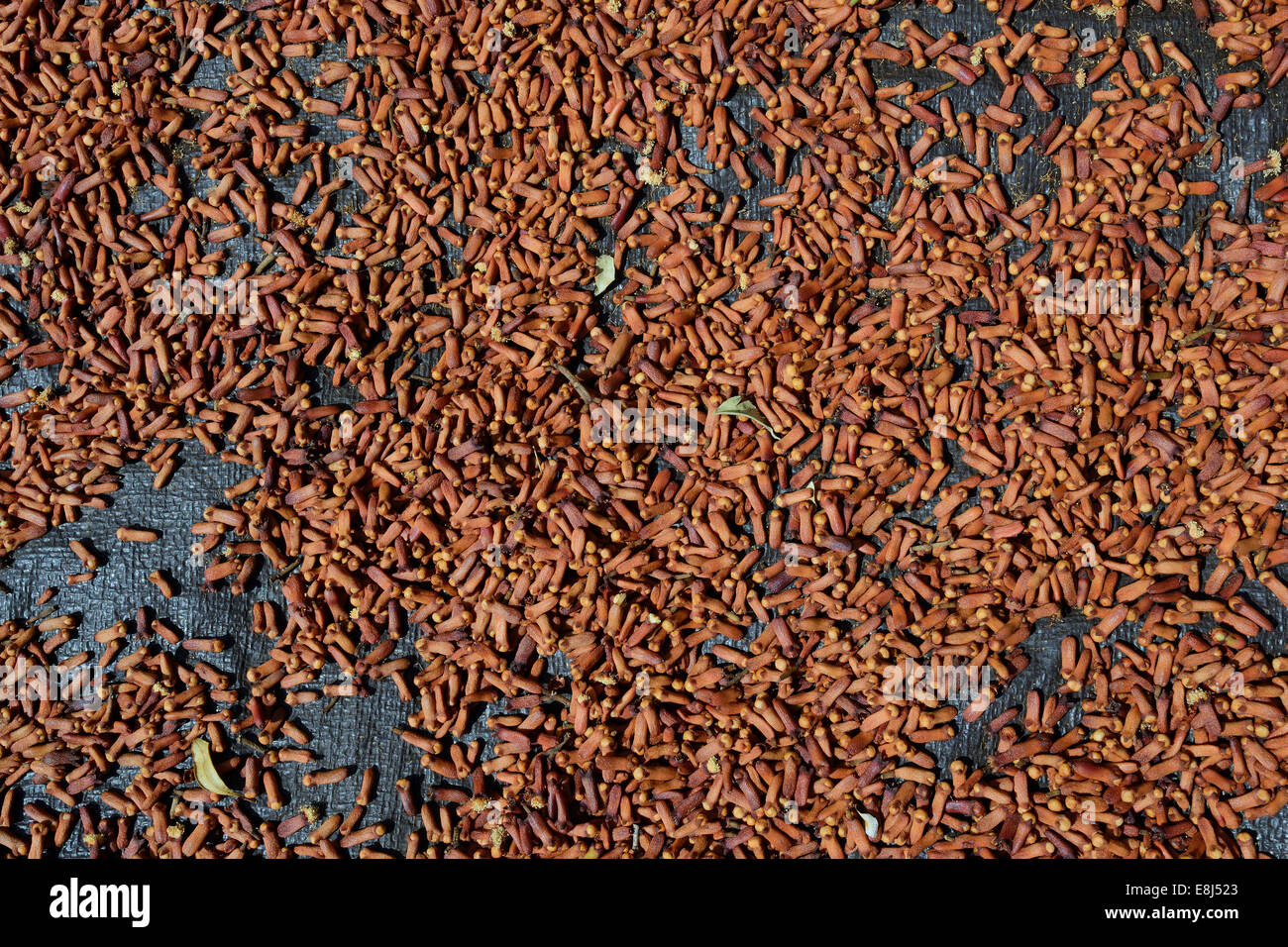 Semi dry hi-res stock photography and images - Alamy