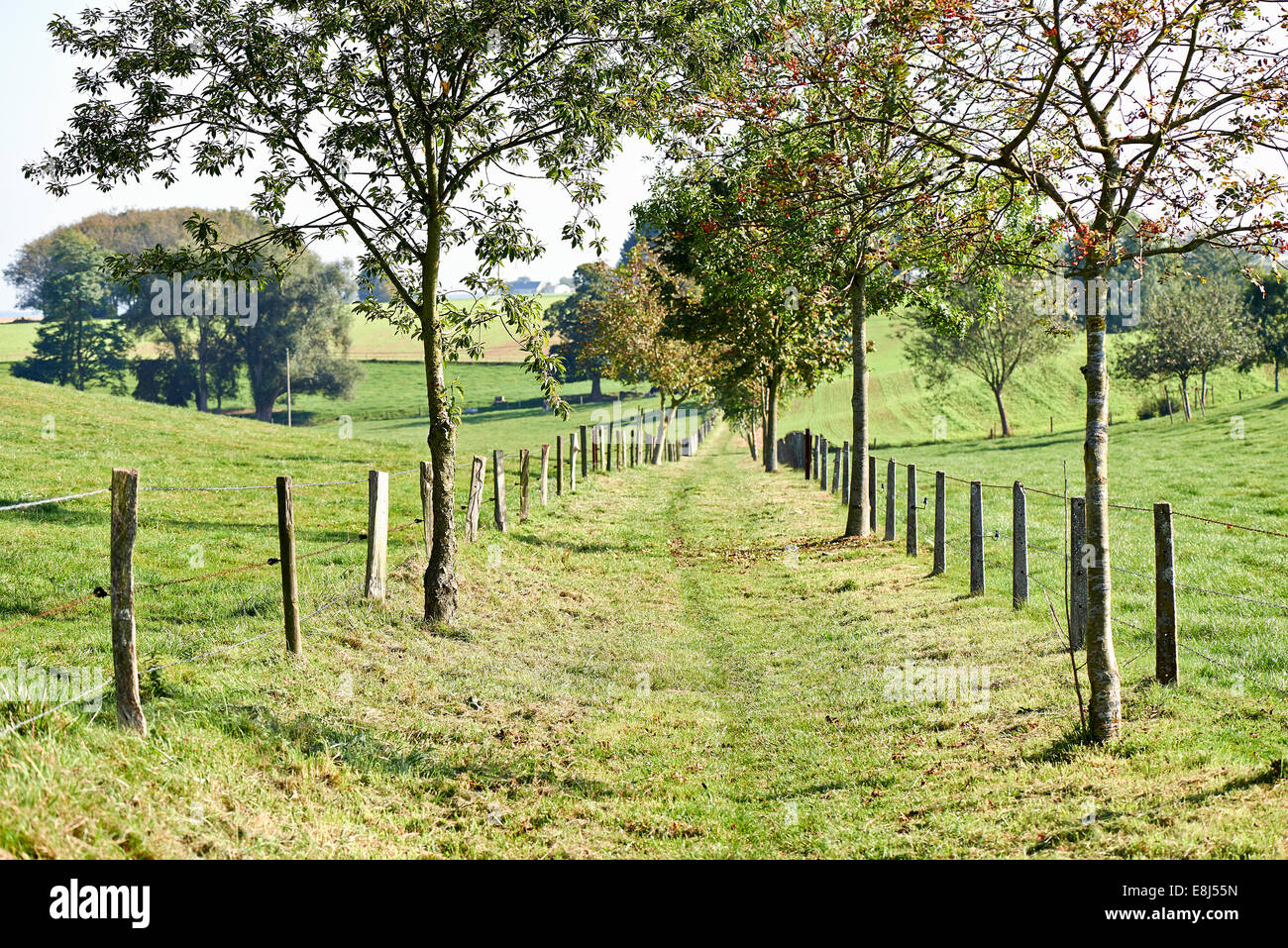 Rural country road through fields- horizontal Stock Photo - Alamy