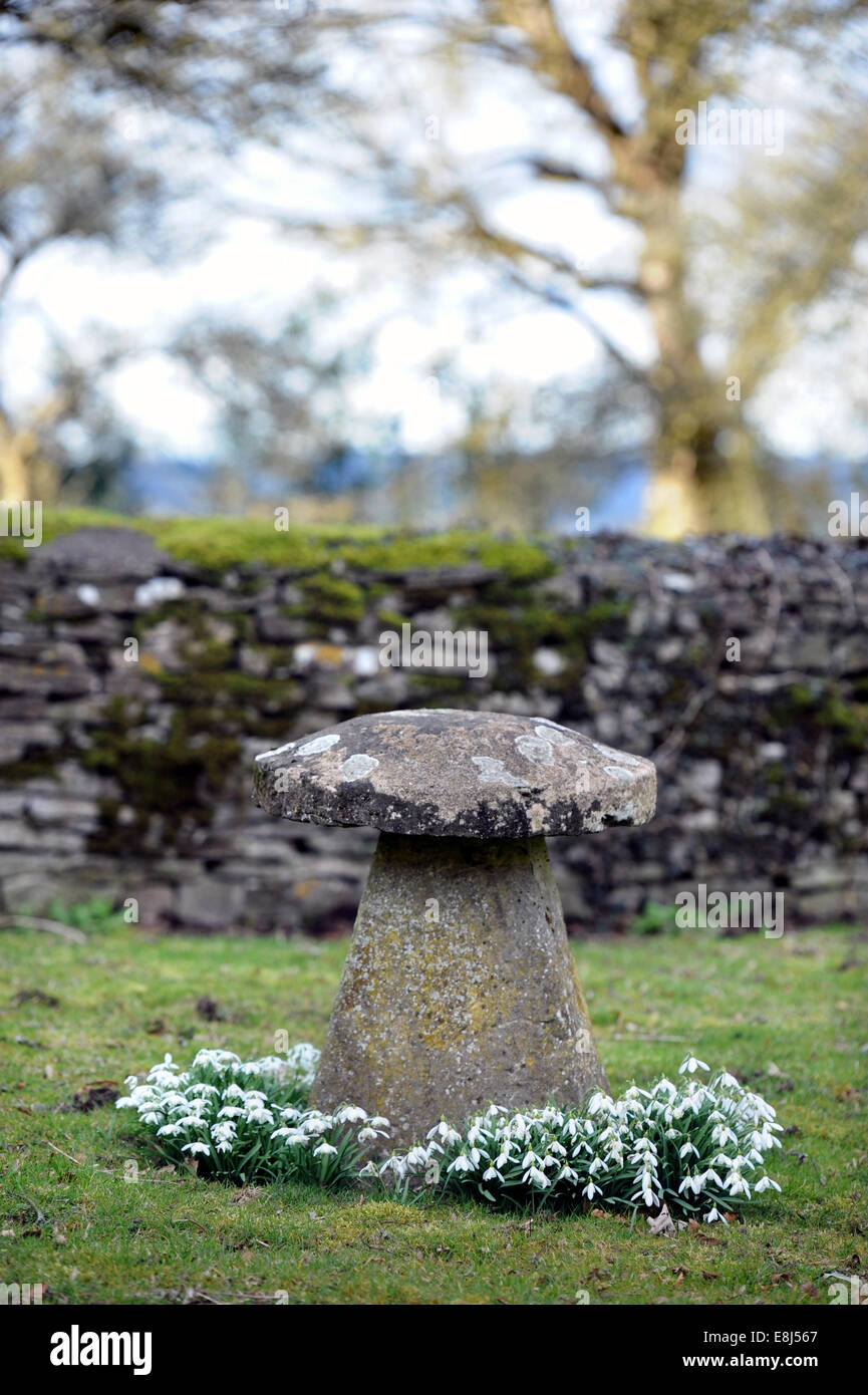Staddle stone hi-res stock photography and images - Alamy
