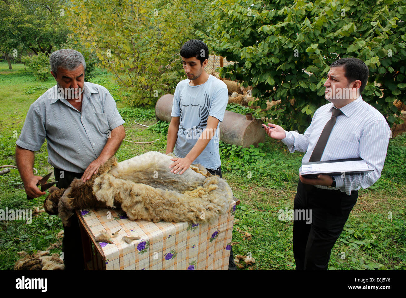 Ali Safa Ahmedov, left, raises sheep with a AZ 5,000 loan from FINDEV ...