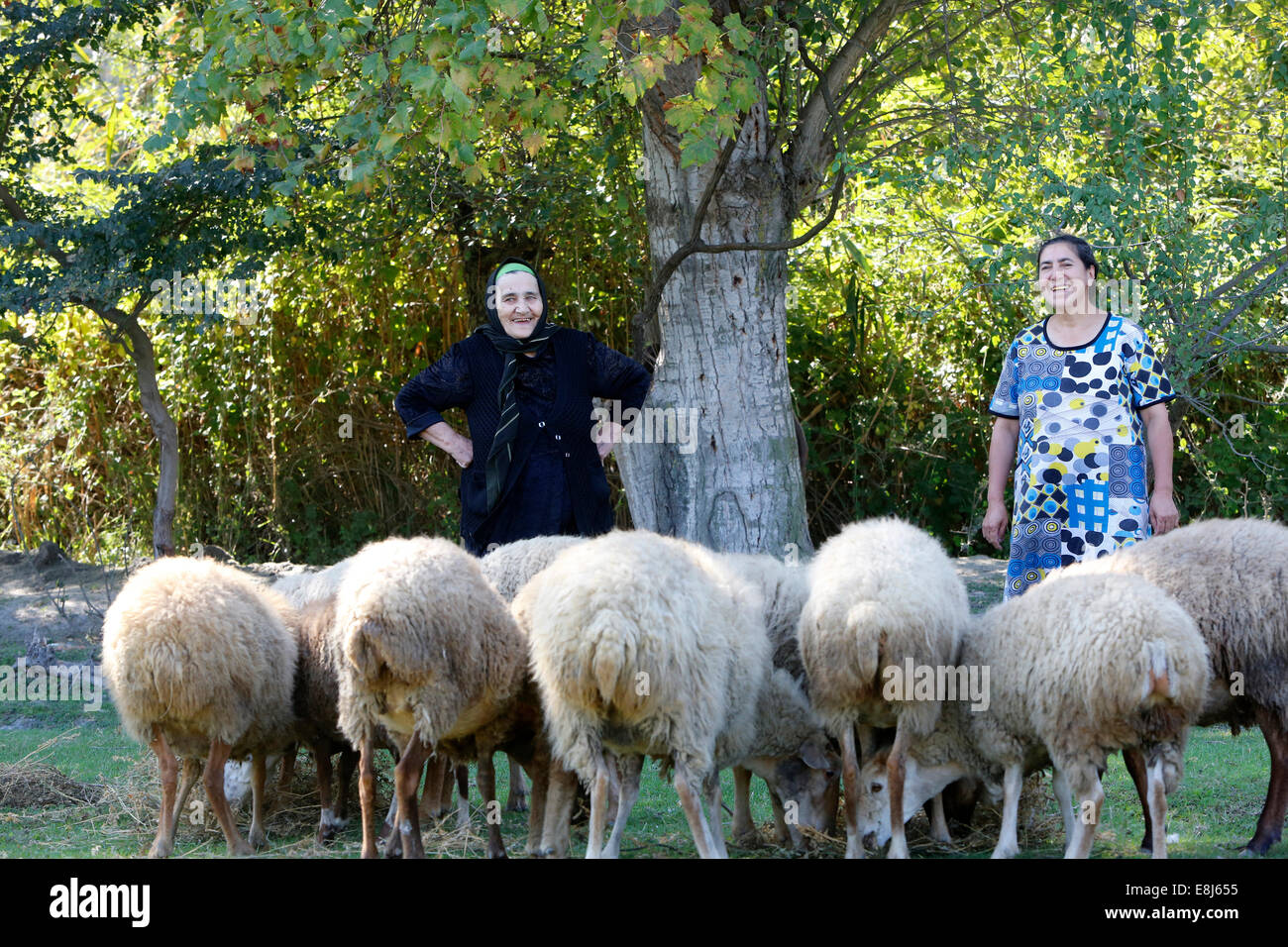 Azeri woman hi-res stock photography and images - Alamy