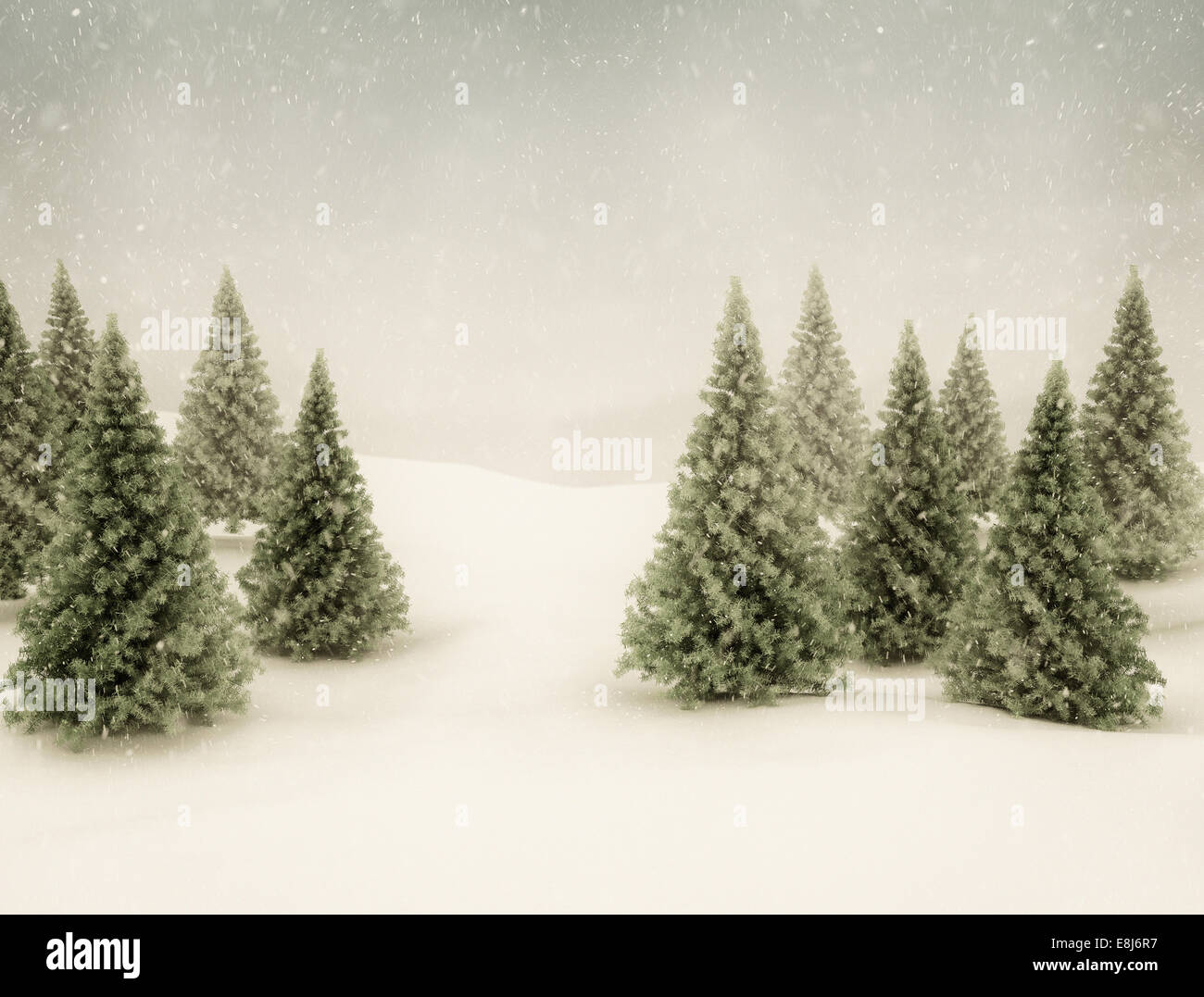 Winter scene snow sky and green pine trees Stock Photo - Alamy