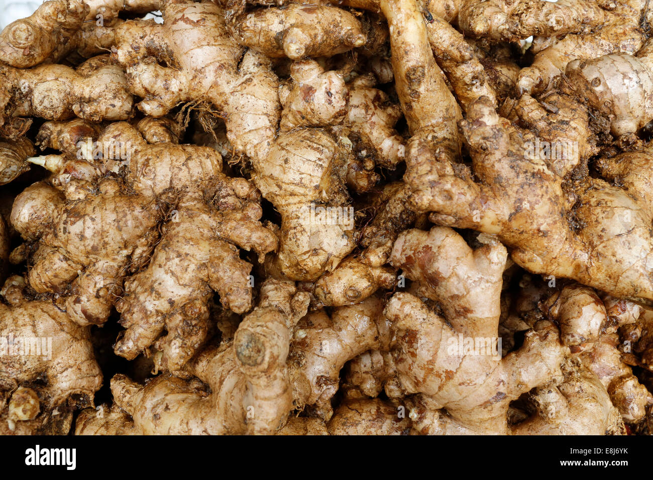 Brazilian ginger hi-res stock photography and images - Alamy