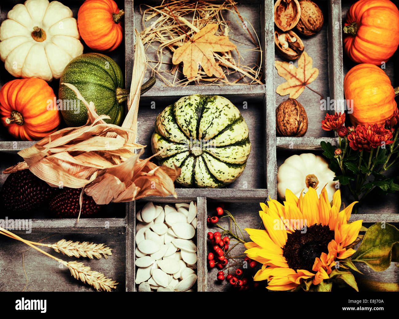 Beautiful wooden box hi-res stock photography and images - Alamy