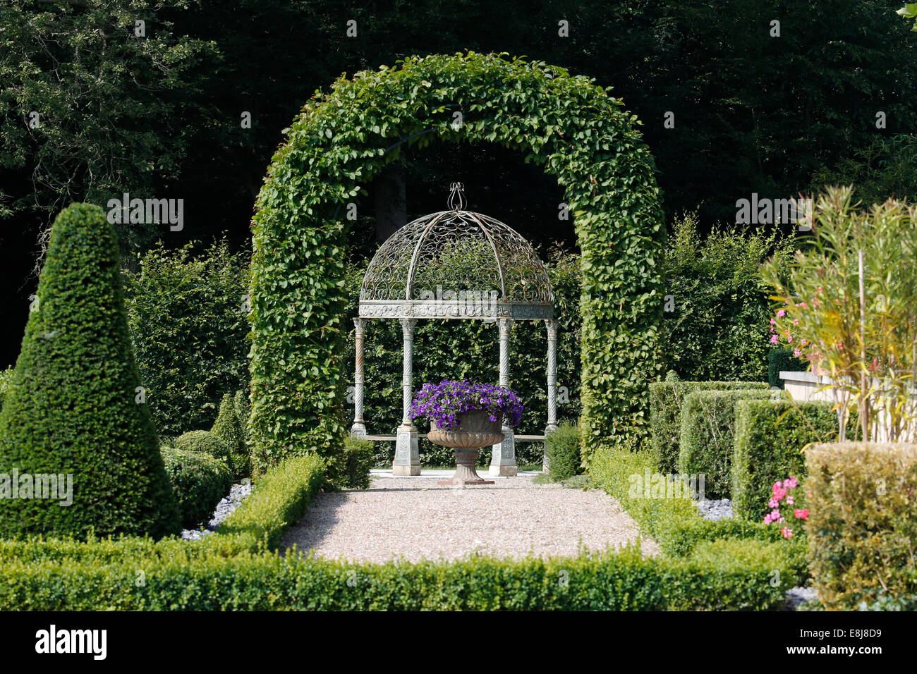 Landscaped garden. Boxtrees Stock Photo - Alamy